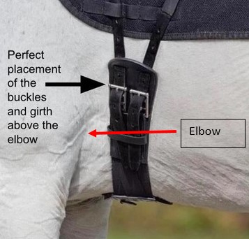 Badlands Equine. Girths & Acc